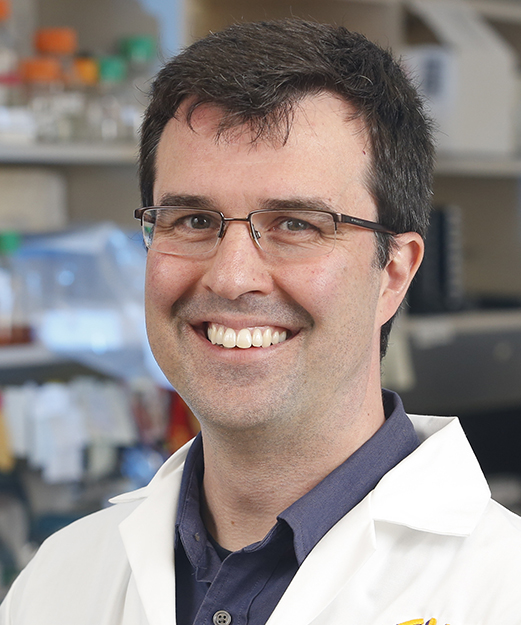 High-throughput diagnostic sequencing for newborns with rare disease ...